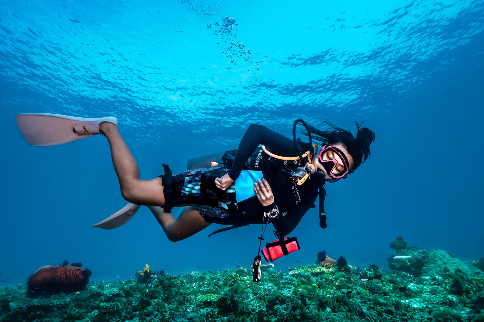 Trshbg – Every diver and surfer an ocean cleaner